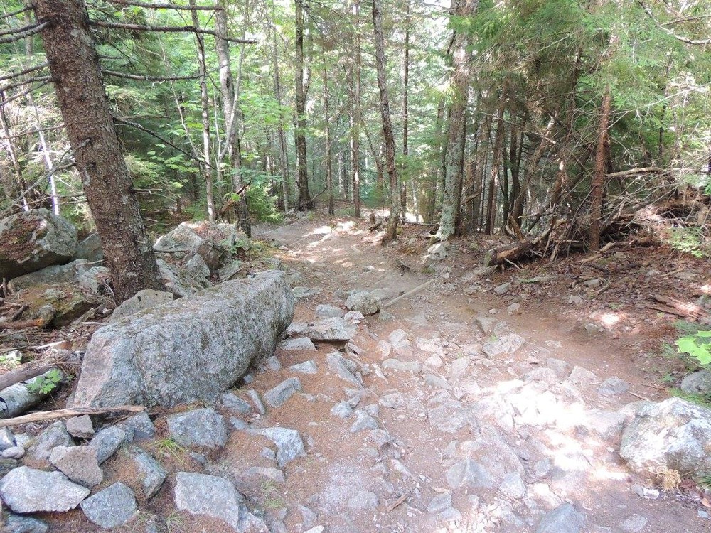 Acadia National Park - Beech Mountain South Ridge Loop - Maine Trail Finder