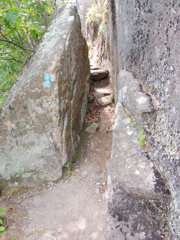 Acadia National Park - Precipice Loop - Maine Trail Finder