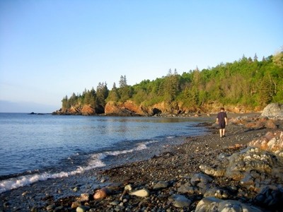 Bog Brook Cove Preserve - Maine Trail Finder