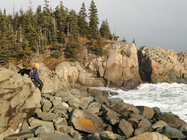 Cutler Coast Public Reserved Land - Maine Trail Finder