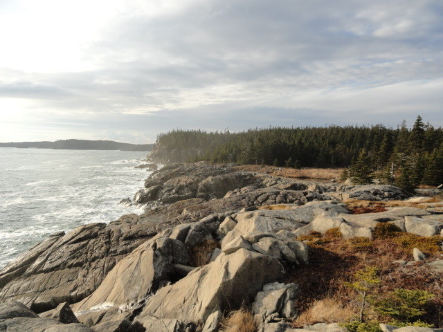 Cutler Coast Public Reserved Land - Maine Trail Finder