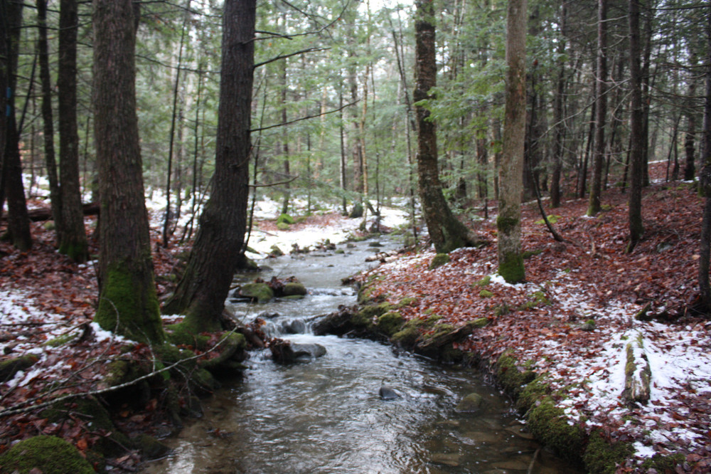 Dave Rock - Maine Trail Finder