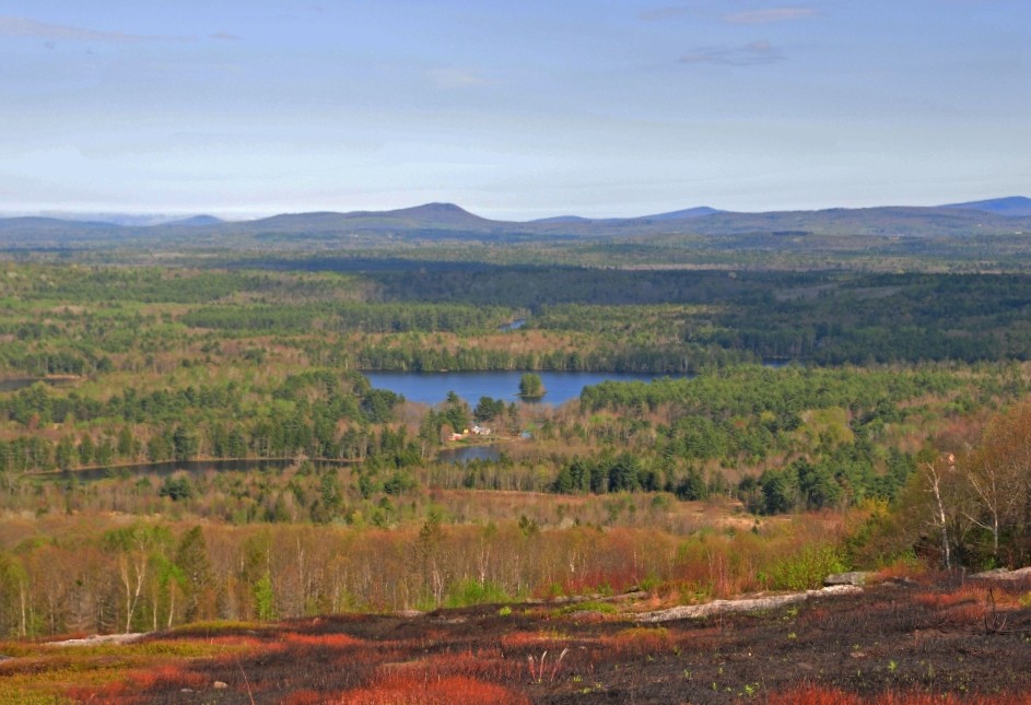 Haystack Mountain Trail (Liberty) - Maine Trail Finder