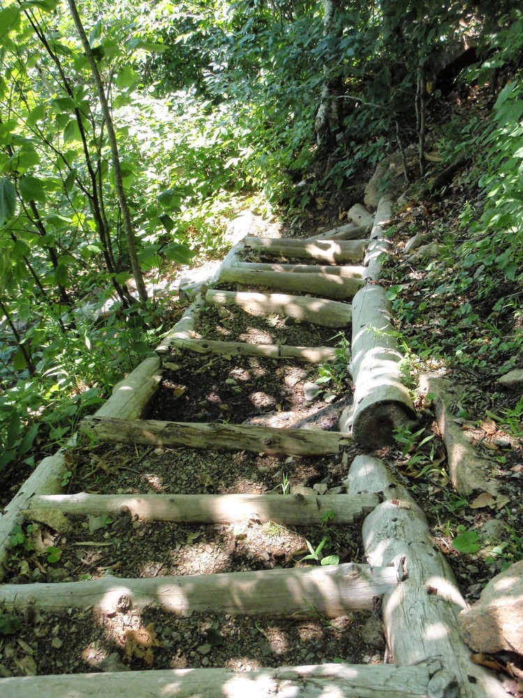 Acadia National Park - Jordan Cliffs Loop - Maine Trail Finder