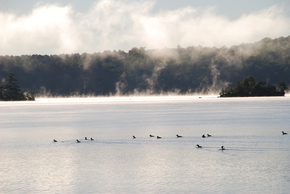 Perry Island Preserve - Maine Trail Finder