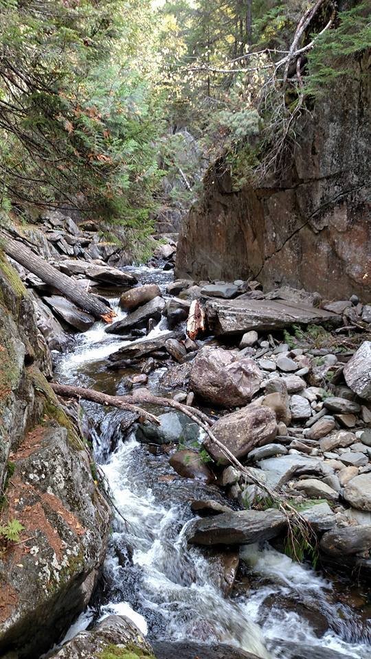 Cascade Stream Gorge Trail - Maine Trail Finder