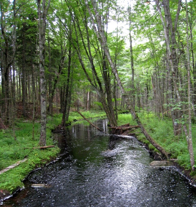Goose River Peace Corps Preserve - Maine Trail Finder