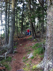 Lighthouse Trails - Maine Trail Finder