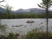 Sandy Stream Pond Trail - Maine Trail Finder