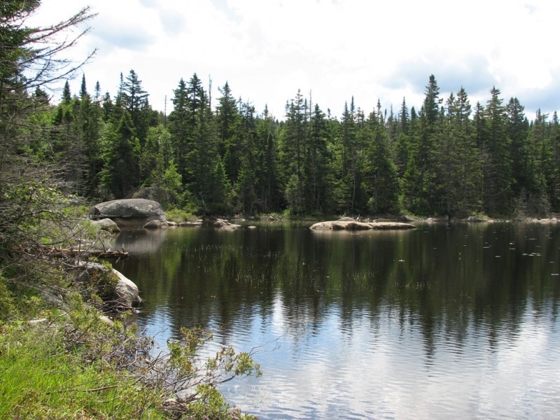 Rock Pond Trail - Maine Trail Finder