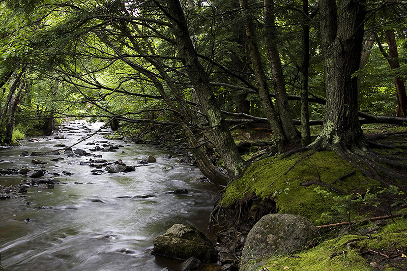 Indian Point Trail - Maine Trail Finder