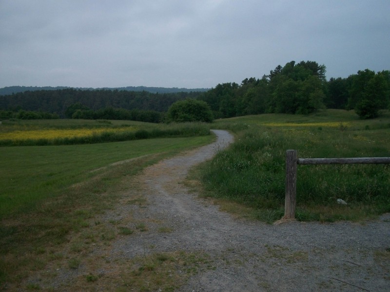 Whaleback Shell Midden State Historic Site - Maine Trail Finder