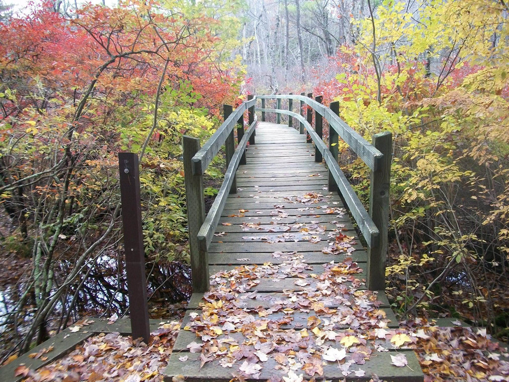Ferry Beach State Park - Maine Trail Finder
