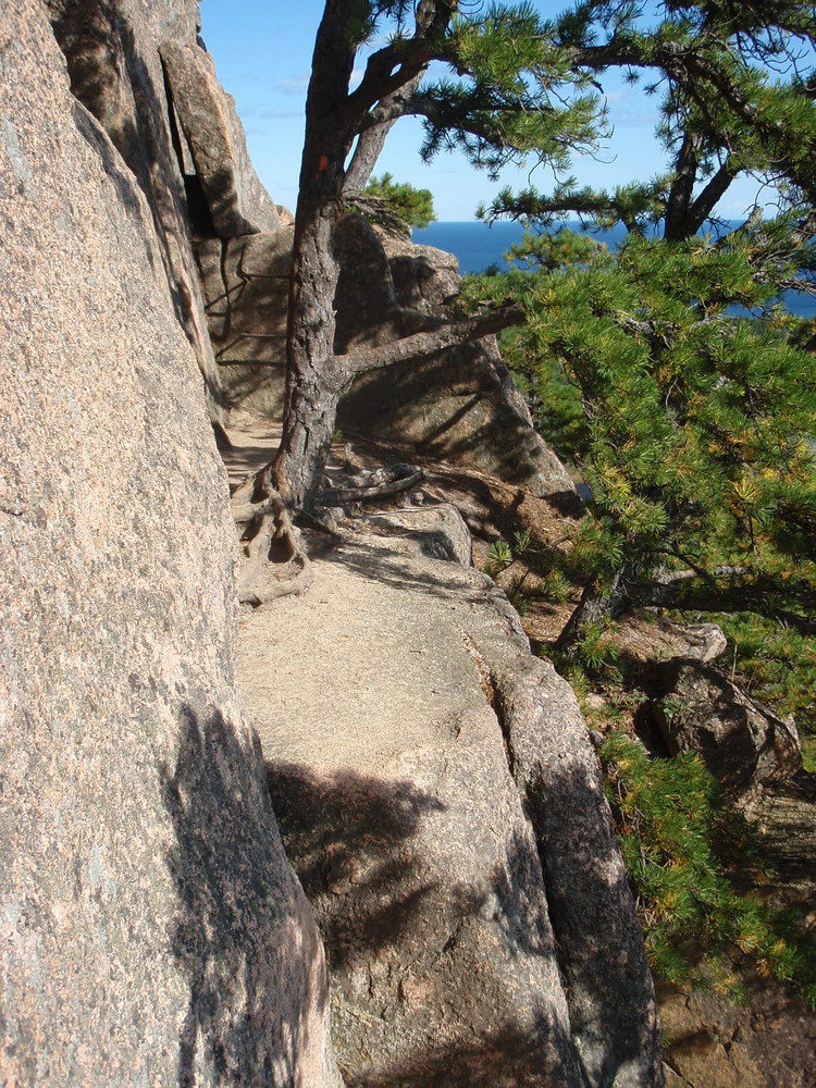 Acadia National Park - Beehive Loop - Maine Trail Finder