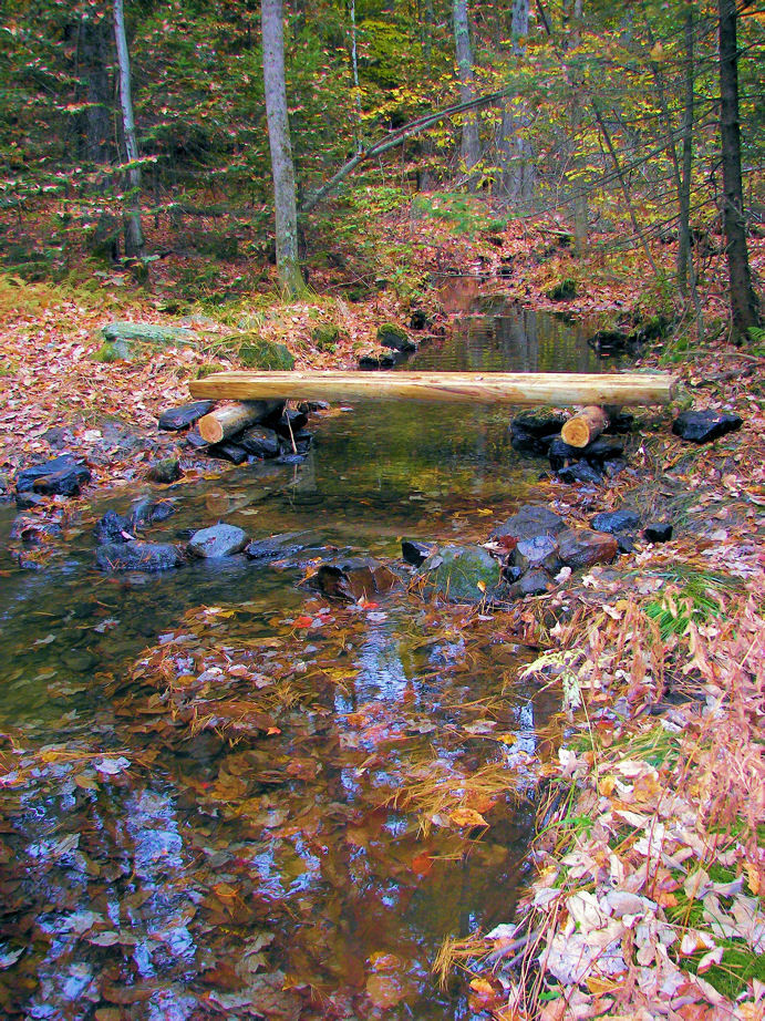 Black Brook Preserve - Maine Trail Finder