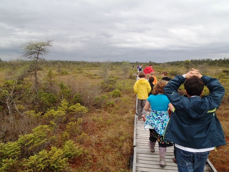 Orono Bog Boardwalk - Maine Trail Finder