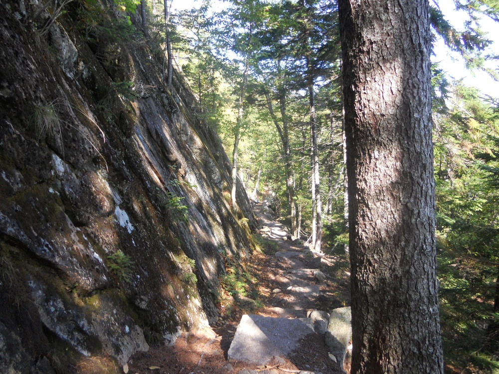 Acadia National Park - Perpendicular and Razorback Loop - Maine Trail ...