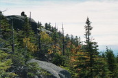 Grafton Notch Loop Trail - Maine Trail Finder
