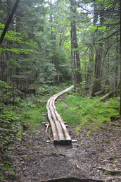 Moose River Bow Trip - Maine Trail Finder